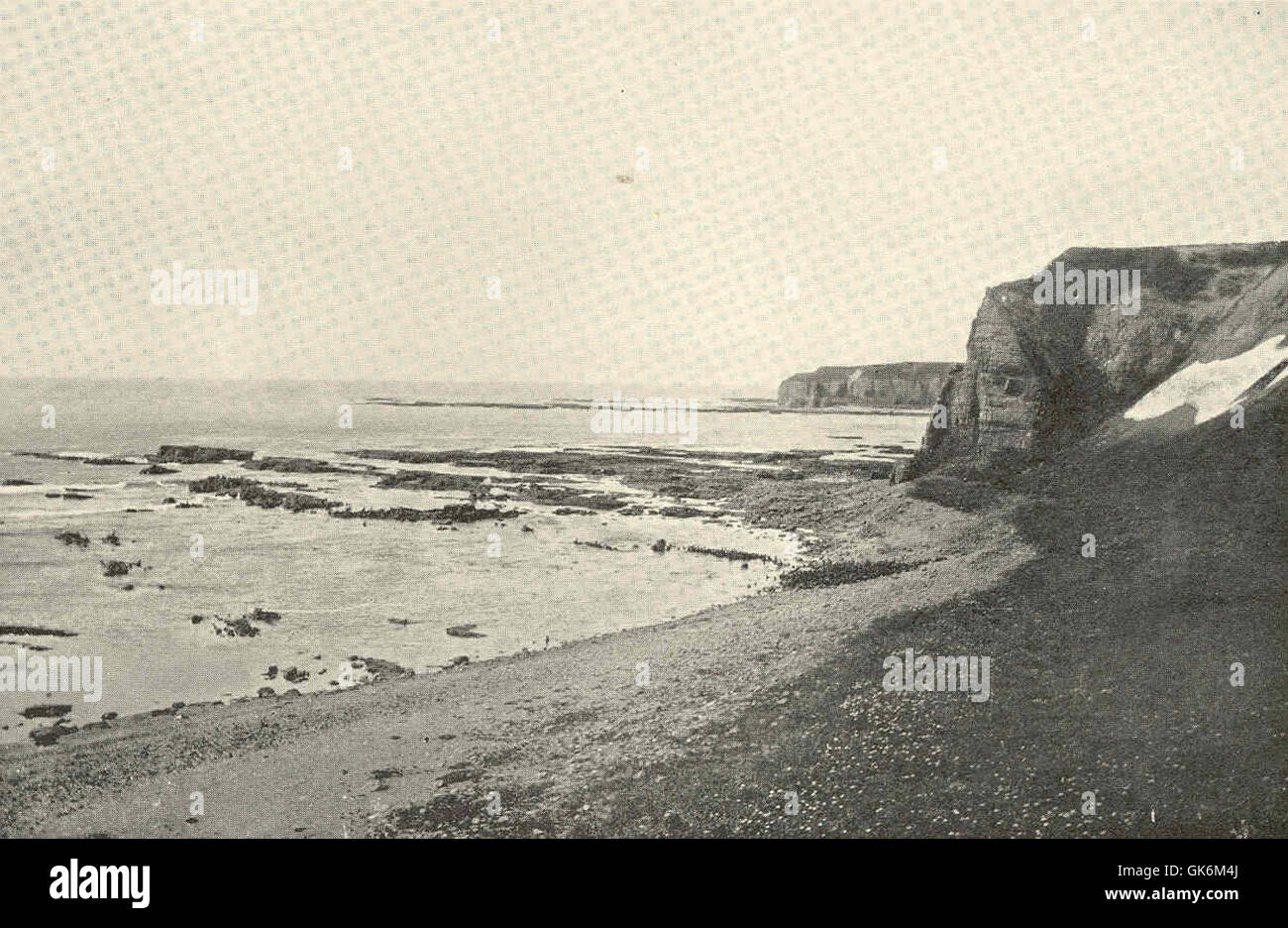 The South Rookery on Bering Island, captured in 1895 from Photographic ...
