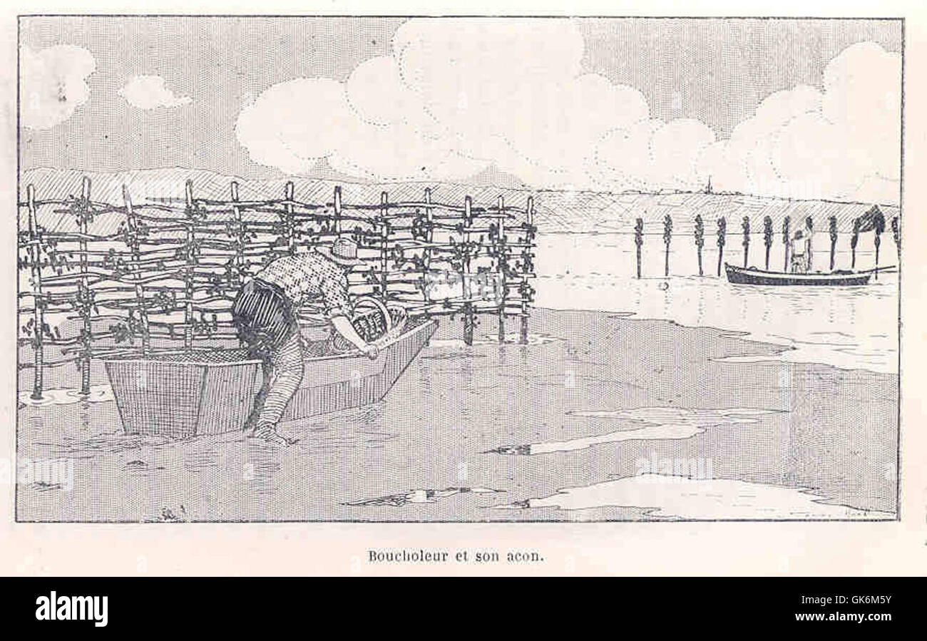 Acon hi-res stock photography and images - Alamy