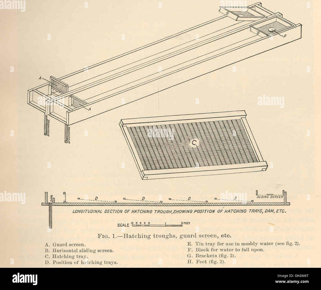 Hatching troughs and guard screens are essential tools in fish ...