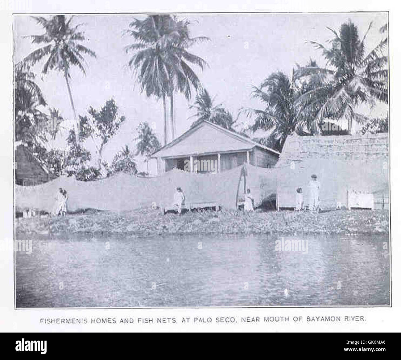 Palo seco hi-res stock photography and images - Alamy