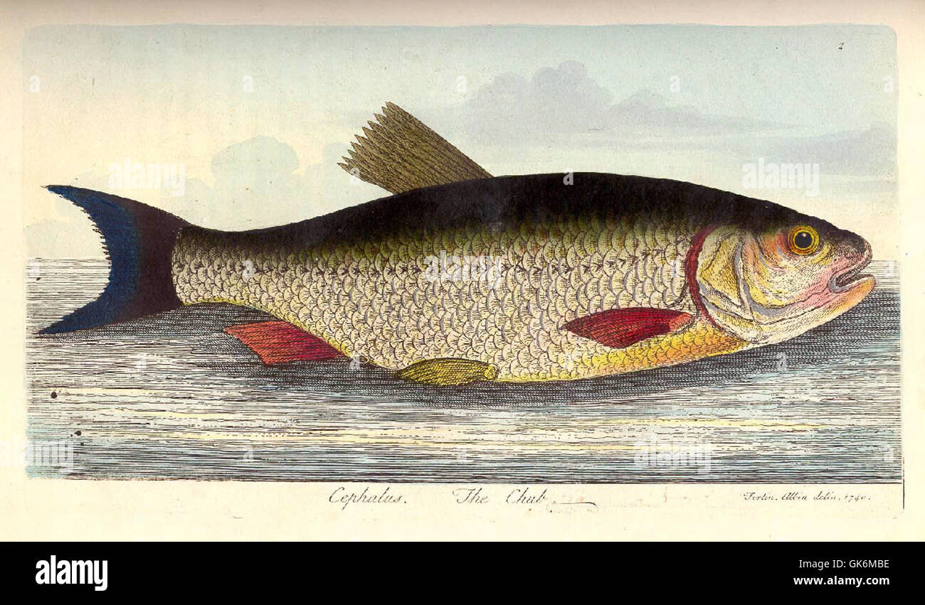 Slightly upturned mouth hi-res stock photography and images - Alamy