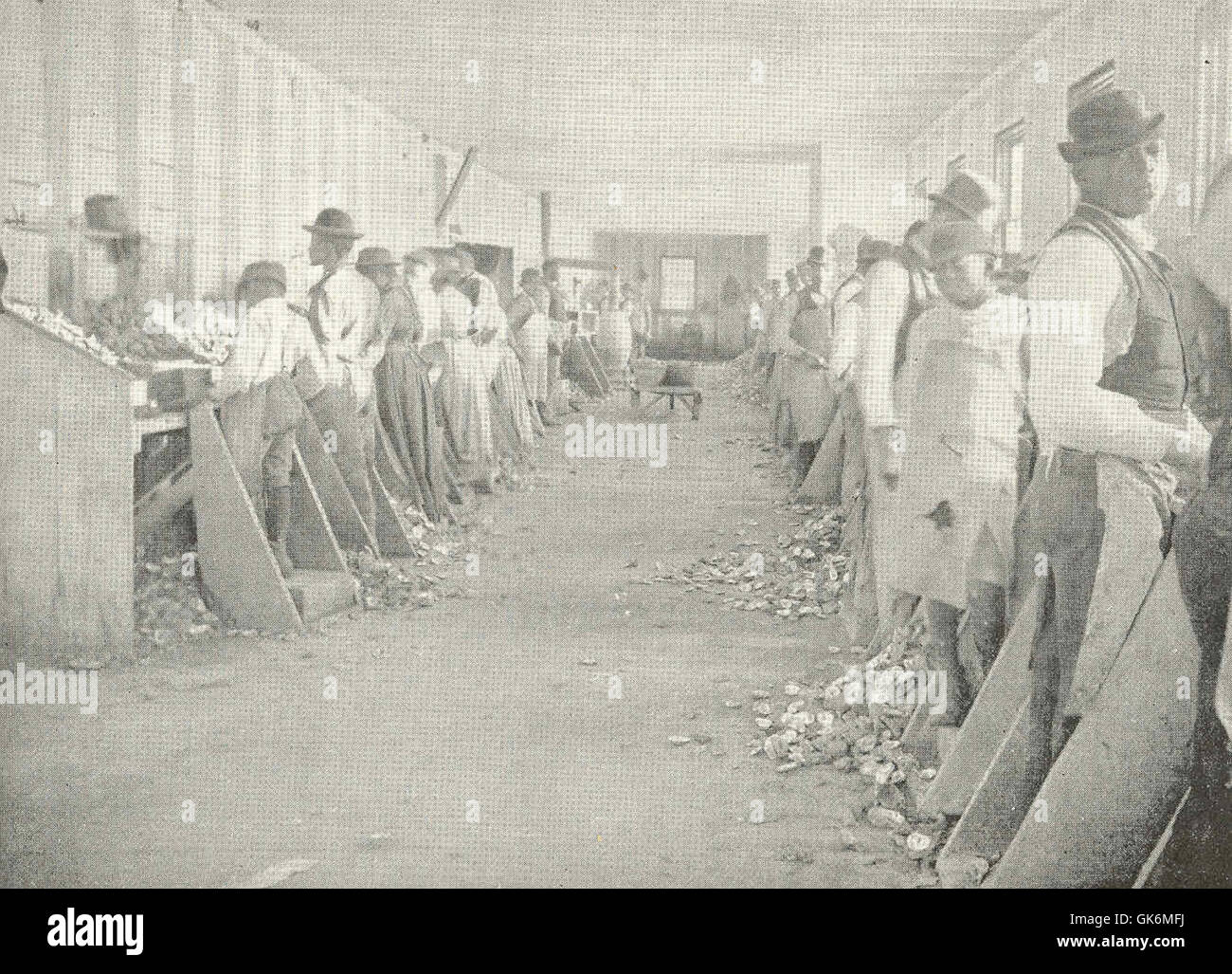 An interior view of a 'Down-the-Bay' shucking establishment, where ...