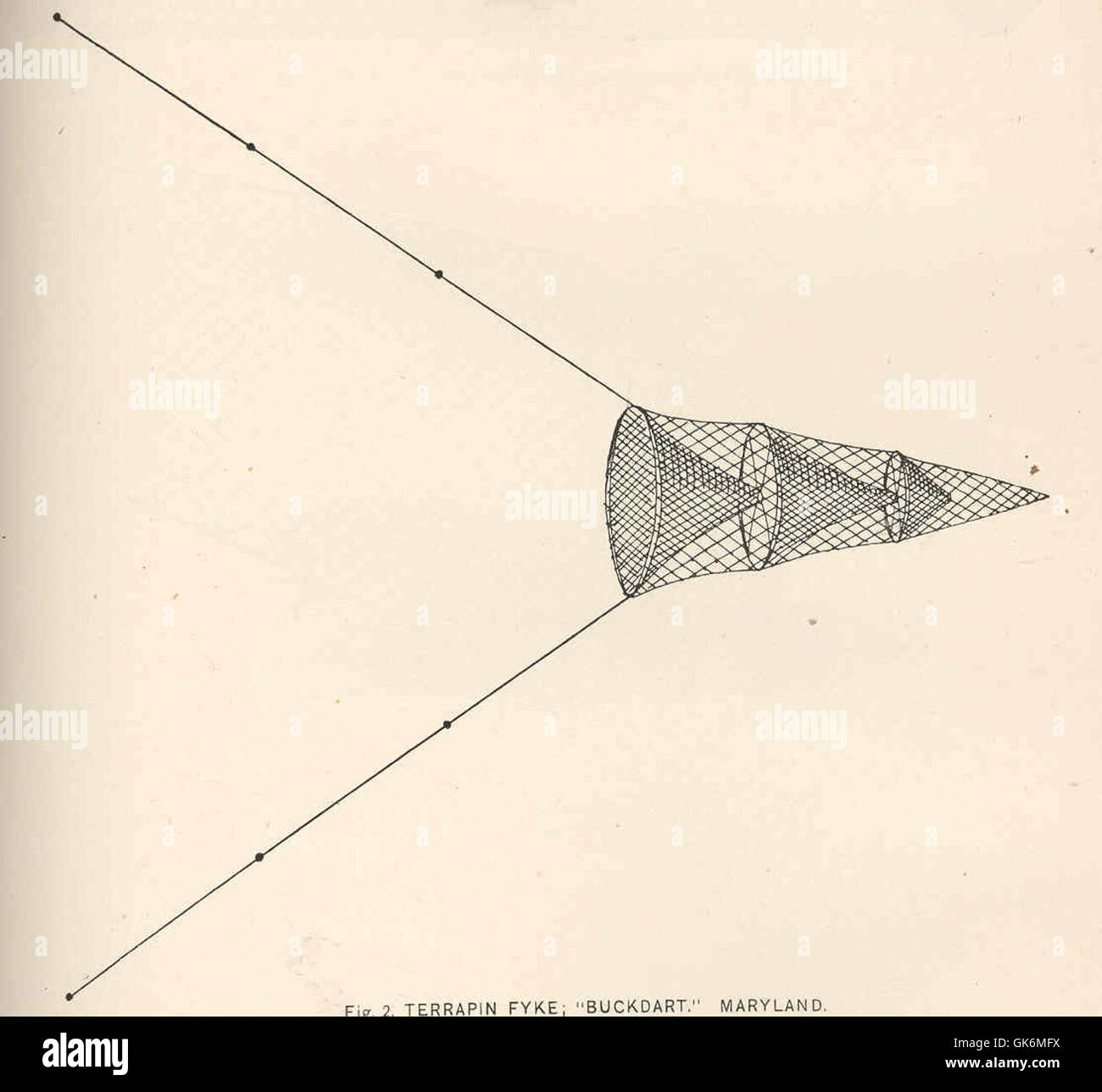 Turtle fishing nets hi-res stock photography and images - Alamy