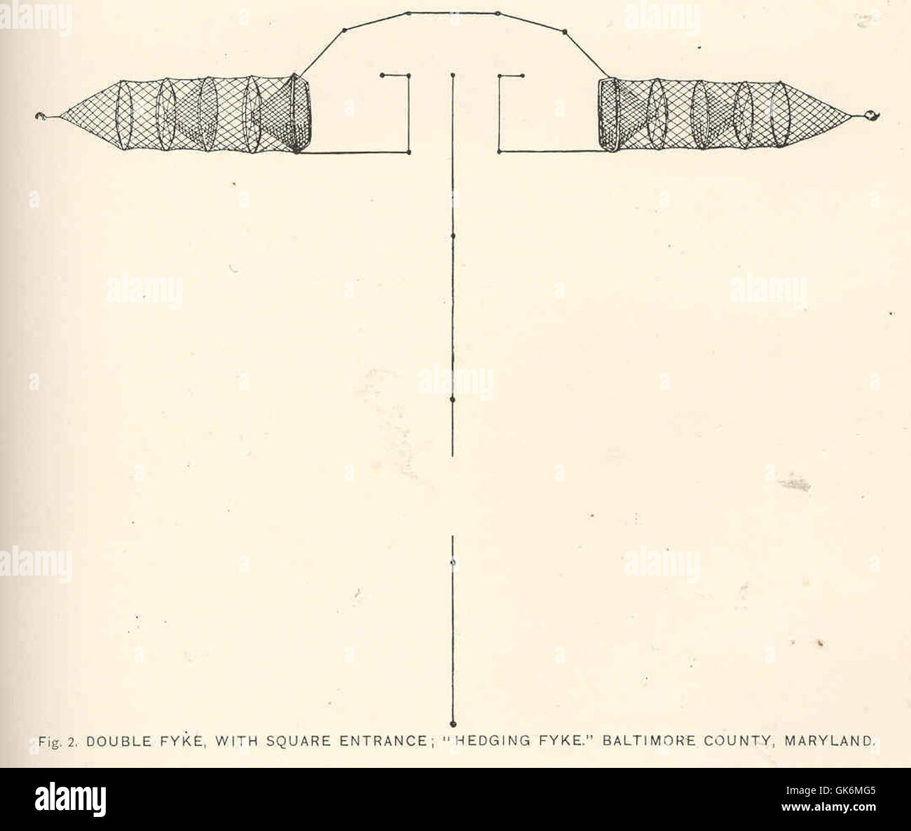 The Double Fyke, a type of fishing net with a square entrance, is used ...