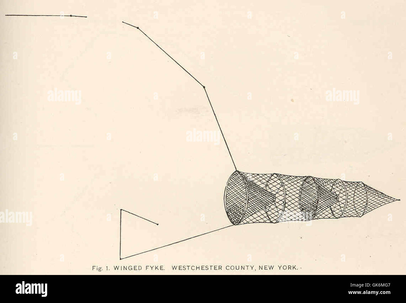 An image of the Winged Fyke, a unique fishing trap used in Winchester ...