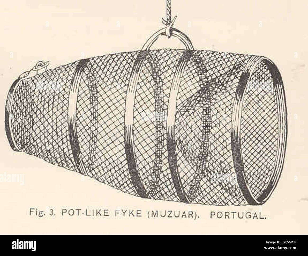 This image shows a pot-like fyke, known as a Muzuar, used in Portugal ...