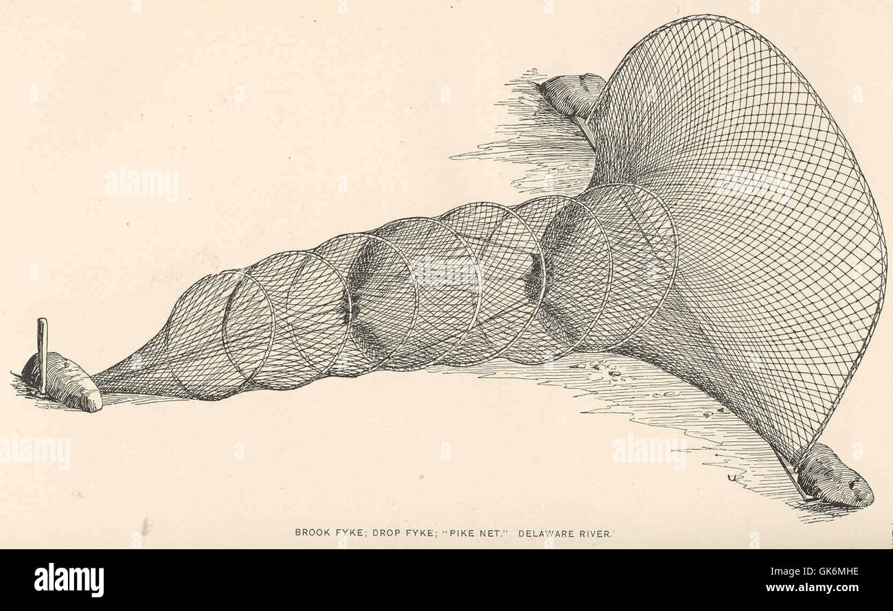 A Brook Fyke and Drop Fyke, also known as 'Pike Net', are fishing nets ...