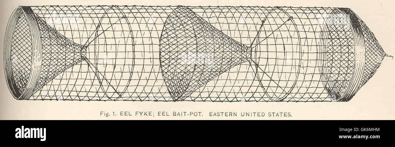 The eel fyke and bait-pot are traditional fishing tools used in the ...
