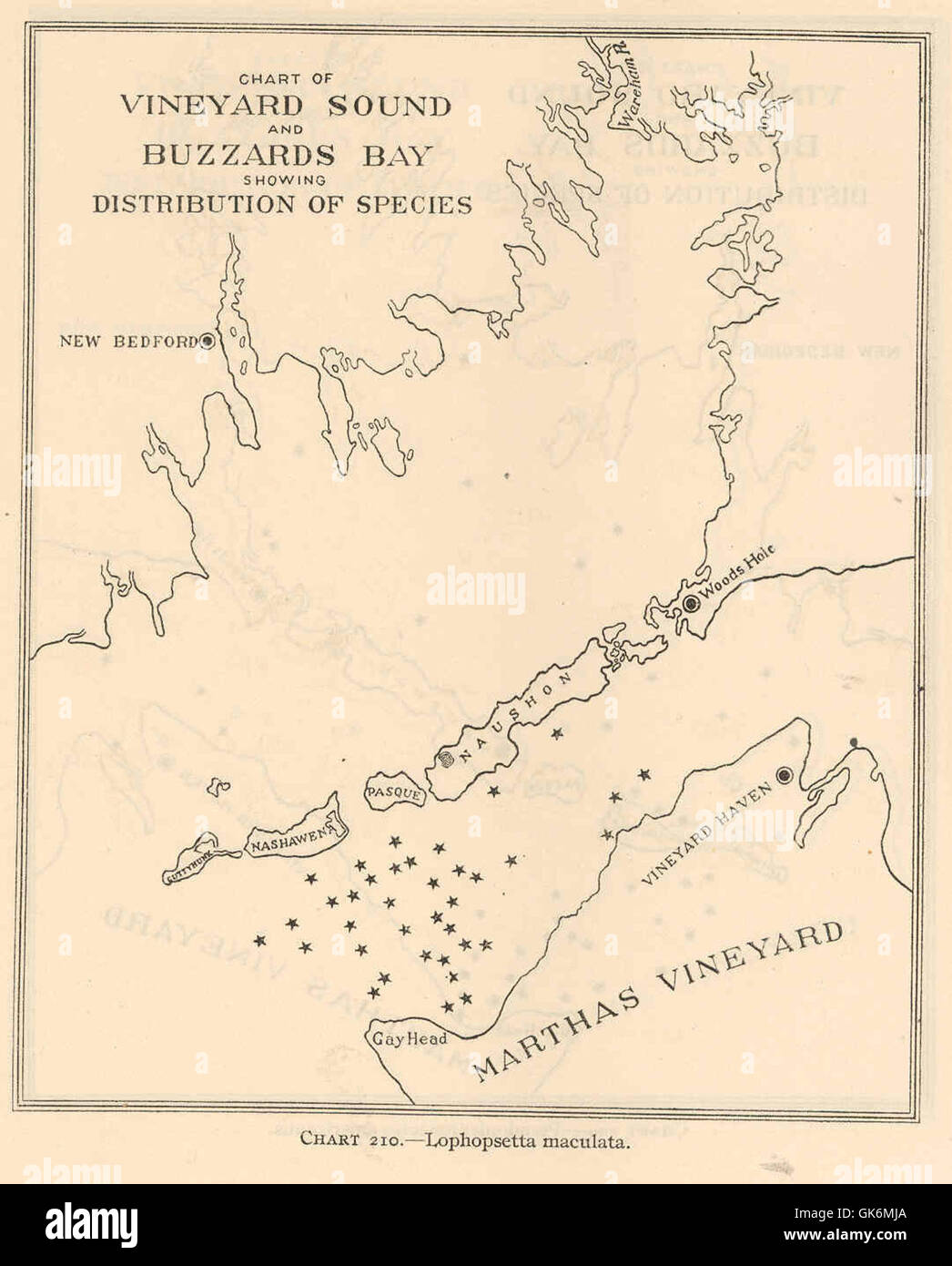 40219 Chart of Vineyard Sound and Buzzards Bay Showing Distribution of ...