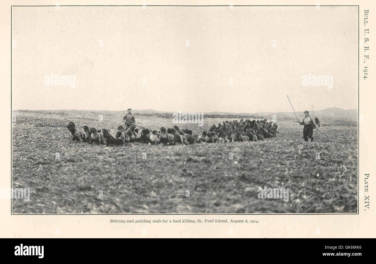 Prodding hi-res stock photography and images - Alamy