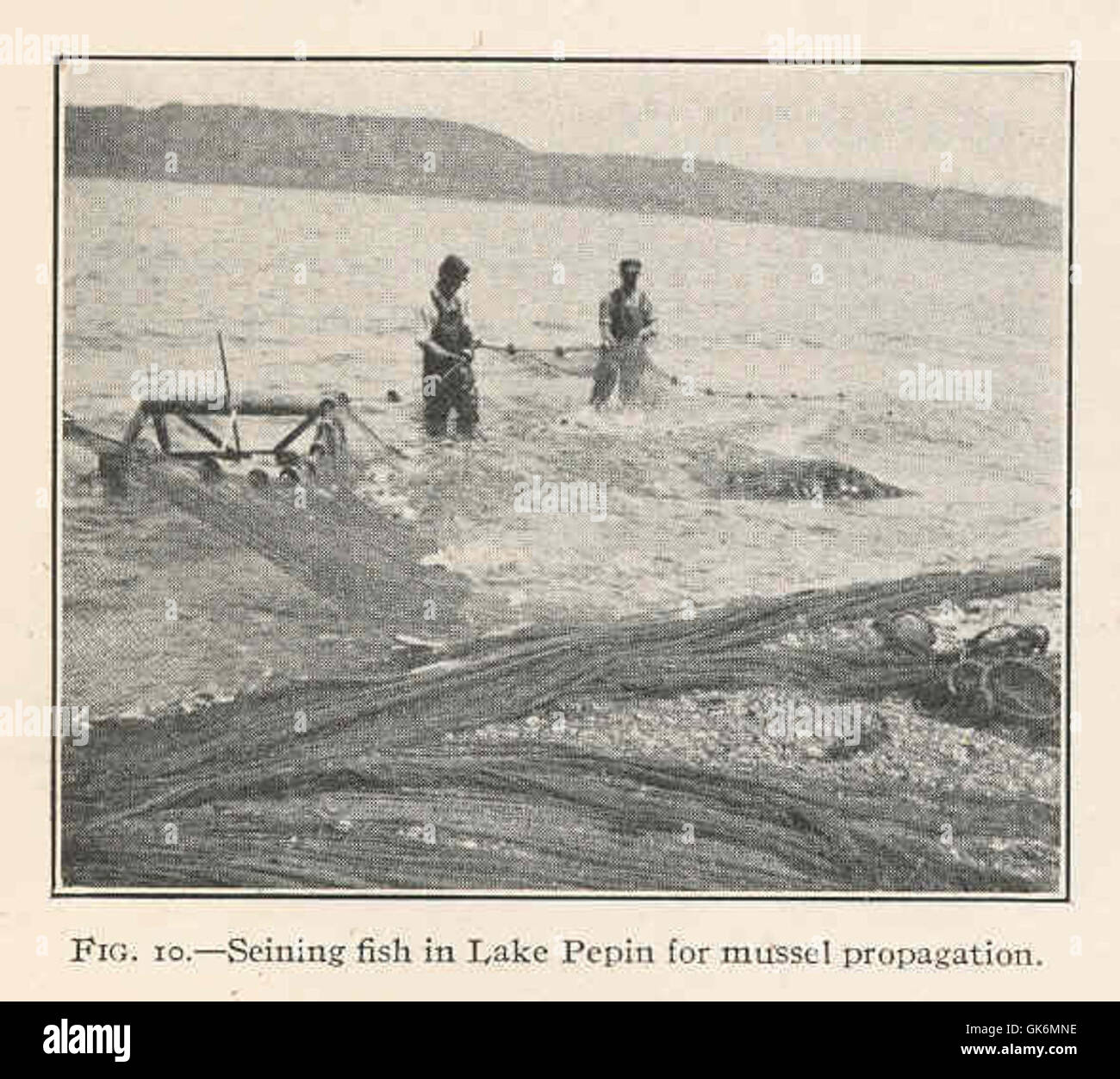 In Lake Pepin, seining is used to catch fish for mussel propagation ...