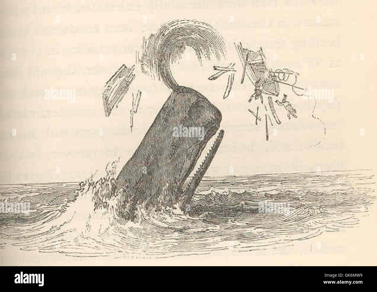 A depiction of a sperm whale being pursued by whalers, highlighting the ...