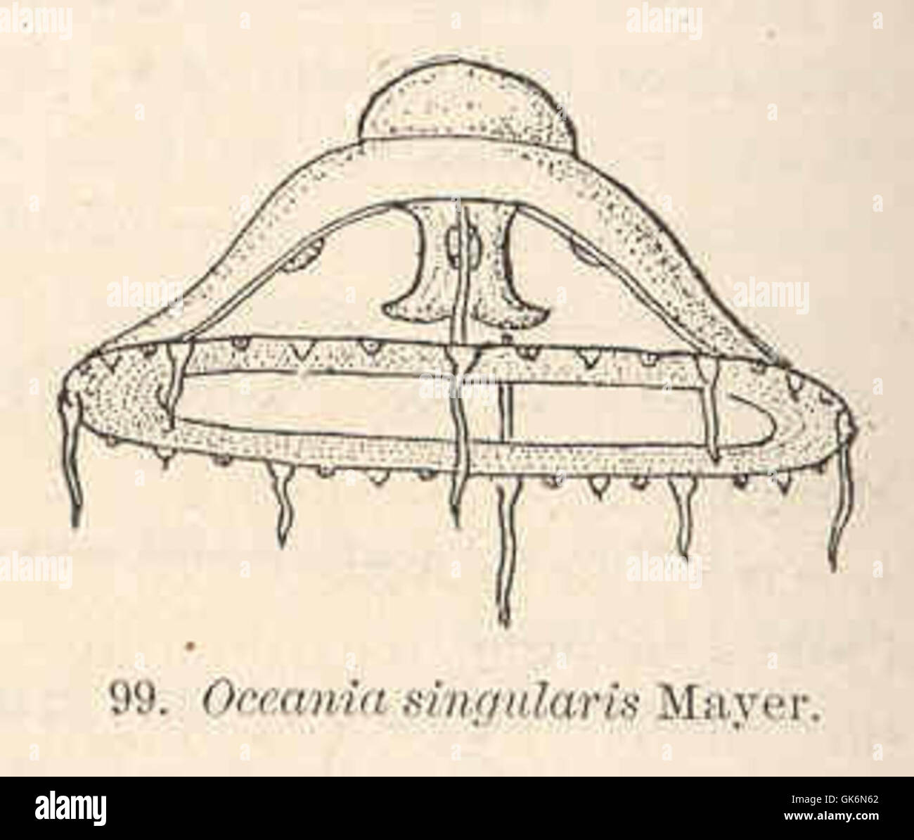 Map of mayer hi-res stock photography and images - Alamy