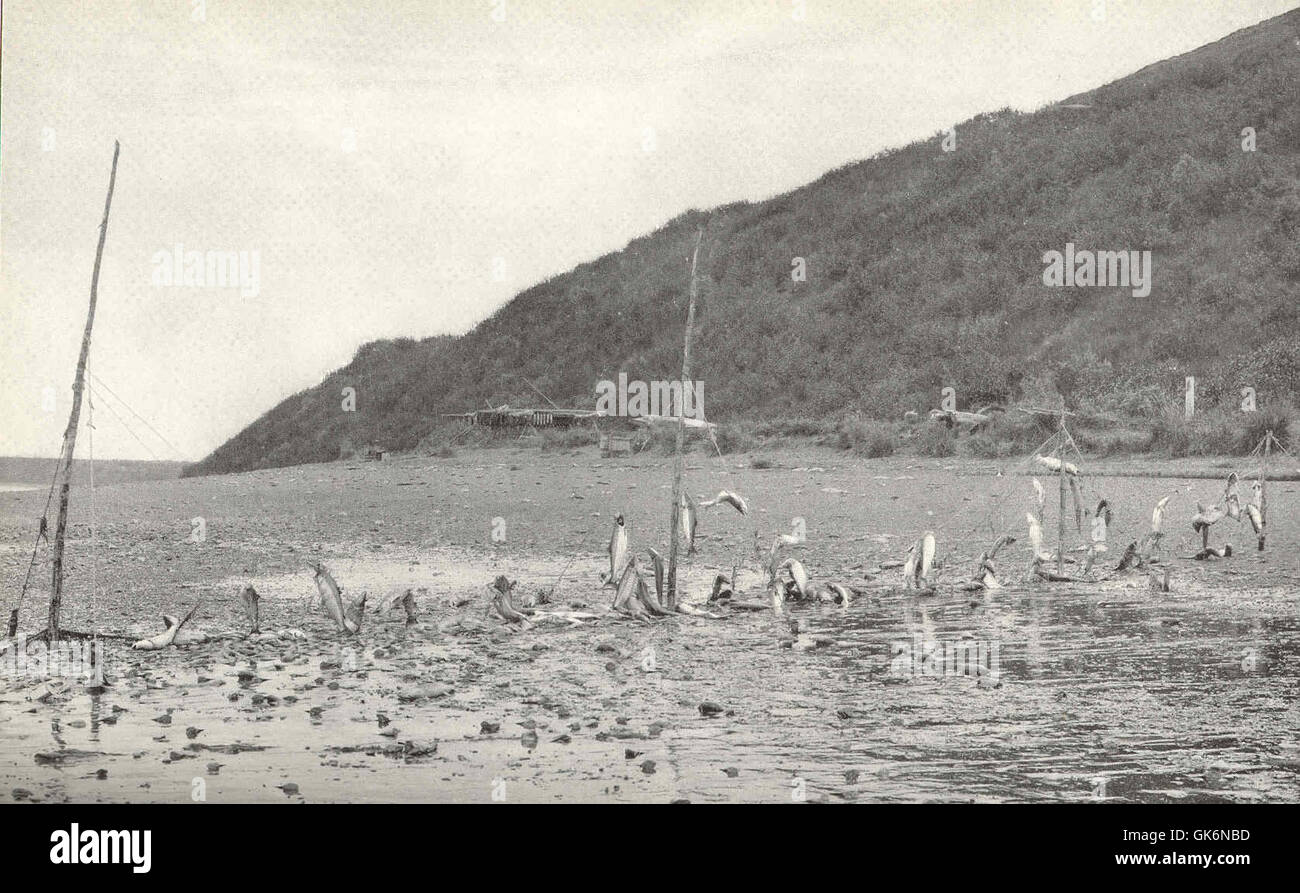 The native method of setting gill nets on a beach near the Pacific Seam ...
