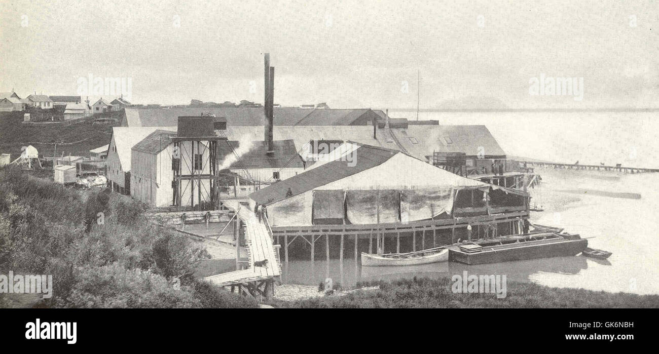 A historic photograph of the Arctic Packing Company (APA) cannery ...