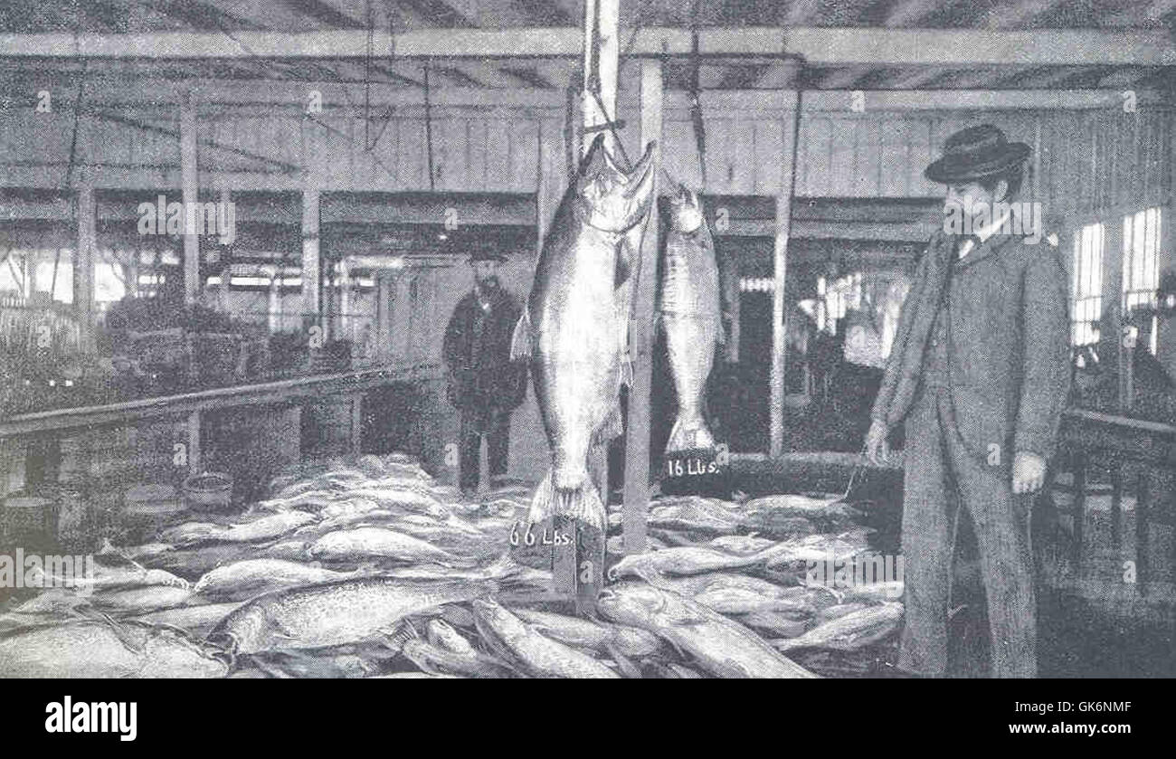 The interior of a cannery, typically used for processing fish, seafood ...