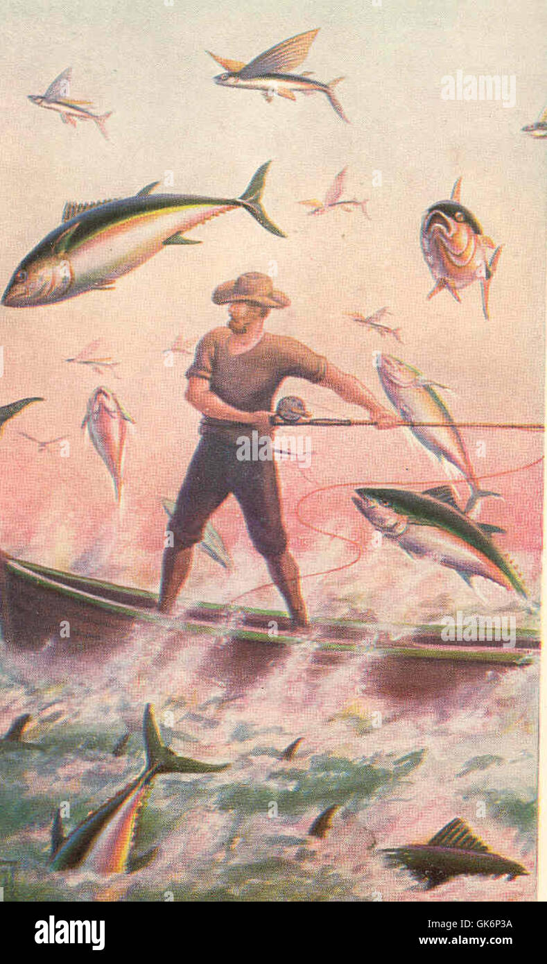 Flying fish are known for their ability to glide above the surface of ...