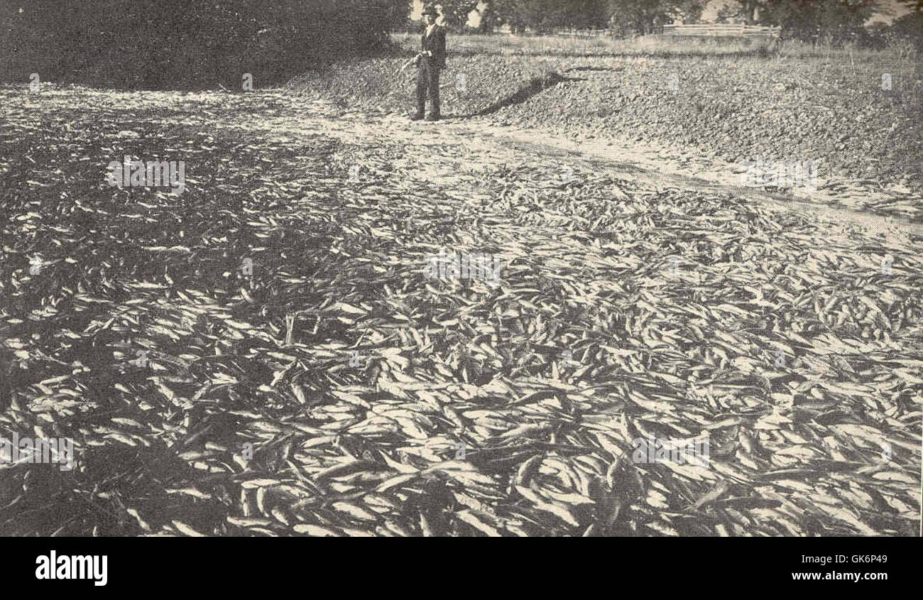 An image of an angler, depicted with an expression of astonishment ...