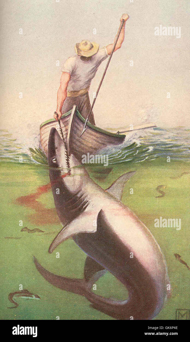 41224 Shark Seizing the Cutwater of a Boat Stock Photo - Alamy