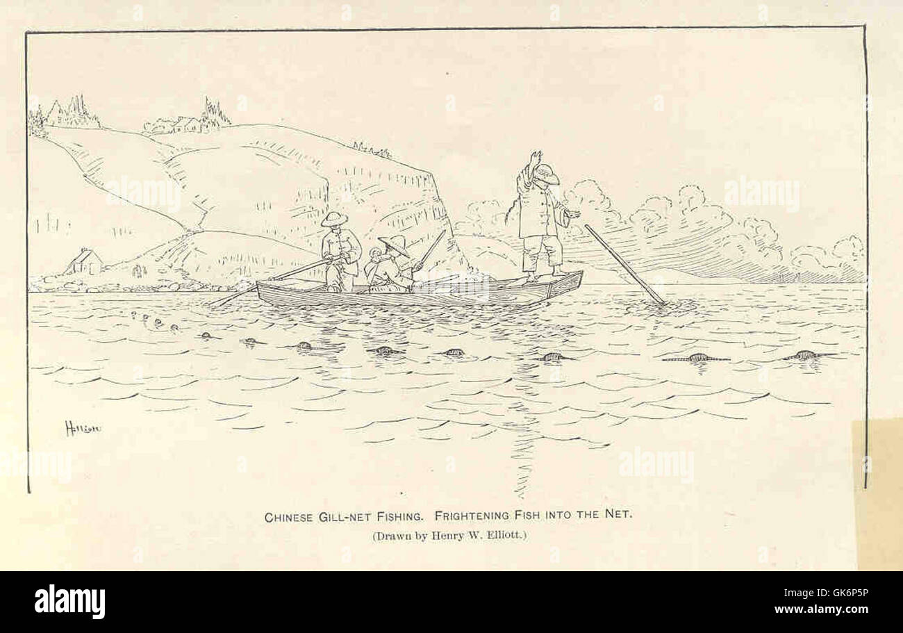 This traditional Chinese fishing technique, gill-net fishing, involves ...