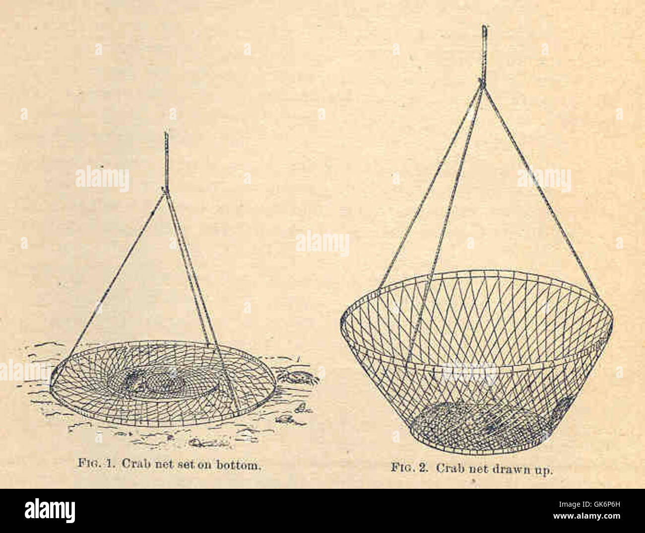 A crab net is shown both set on the bottom and being drawn up ...