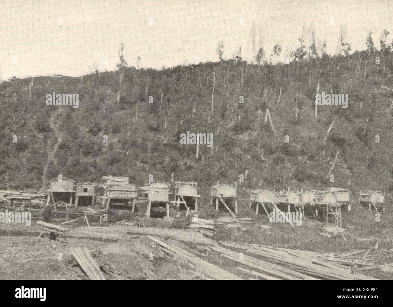 This image shows a native food cache used for storing fish and other ...