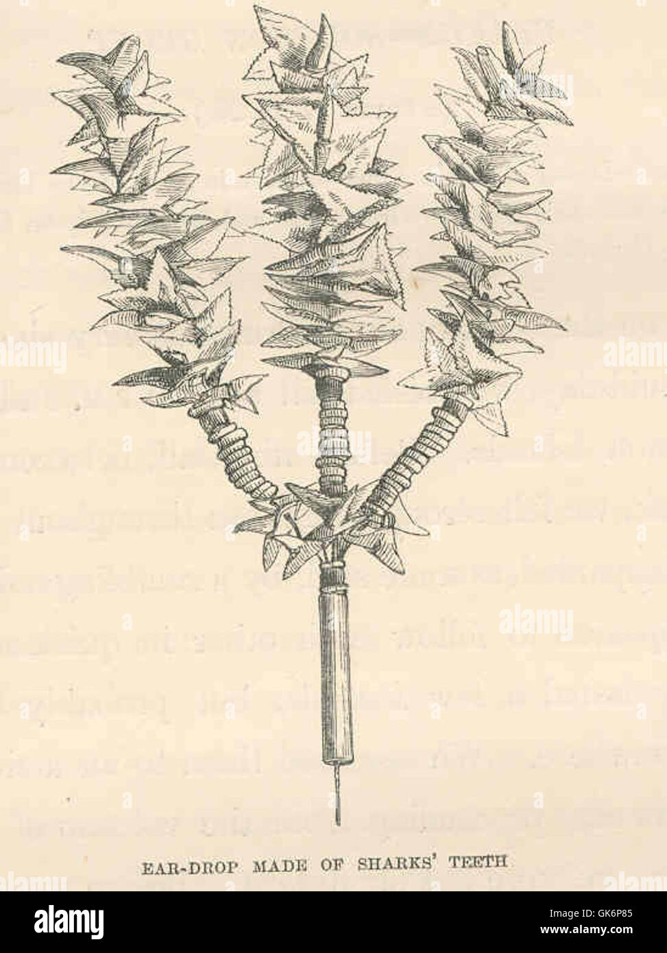 The image depicts an ear-drop crafted from sharks' teeth, a unique item ...