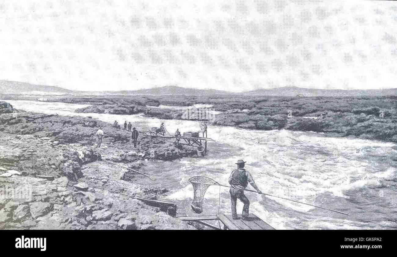 Dip-net fishing is a traditional method used to capture fish in shallow ...