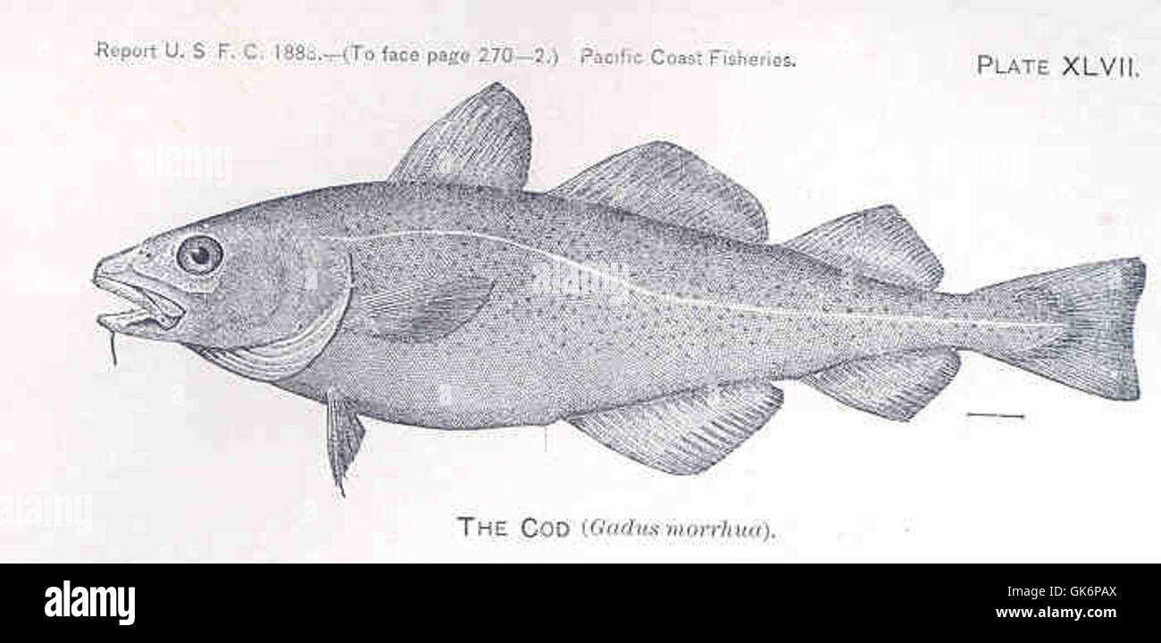 Letter cod hi-res stock photography and images - Alamy