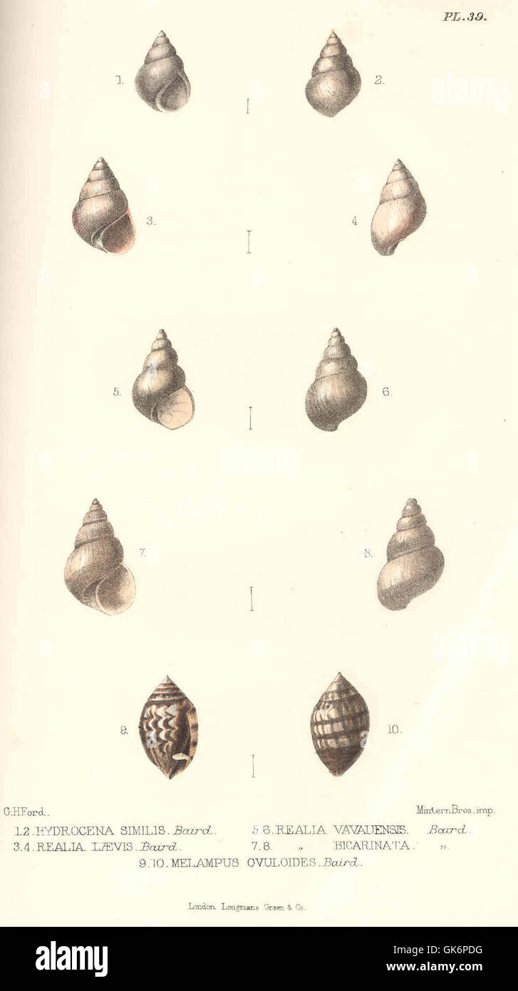 This entry describes multiple species of snails, including *Hydrocena ...