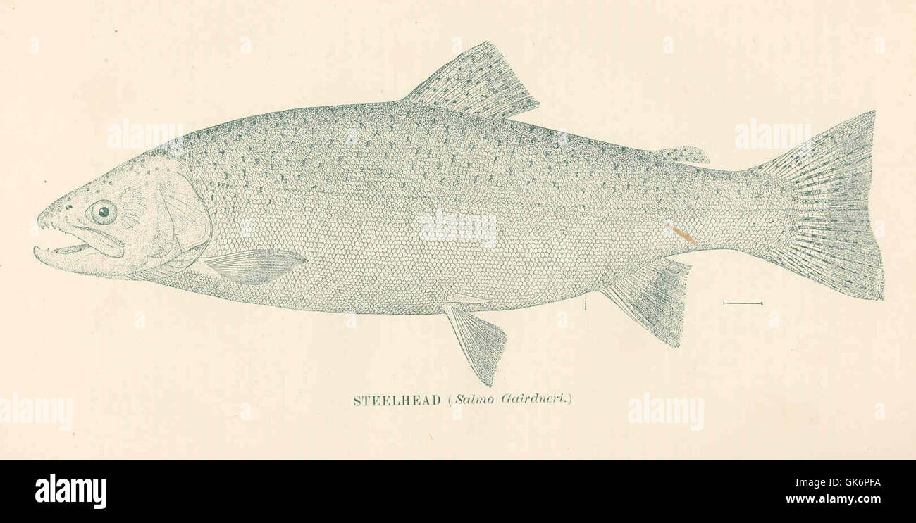 Salmo Map High Resolution Stock Photography and Images - Alamy