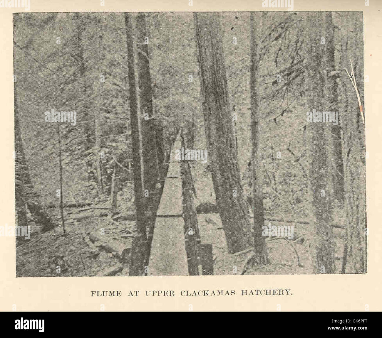 The flume at the Upper Clackamas Hatchery is part of the water ...