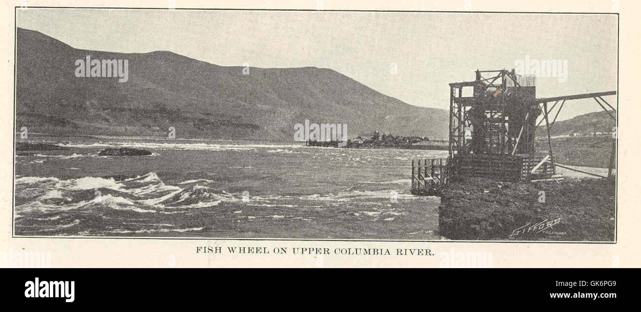 The fish wheel, a traditional method of catching fish, is used in the ...