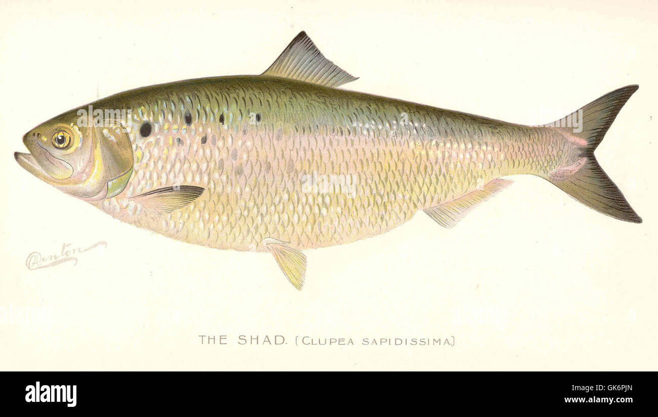 41554 hi-res stock photography and images - Alamy