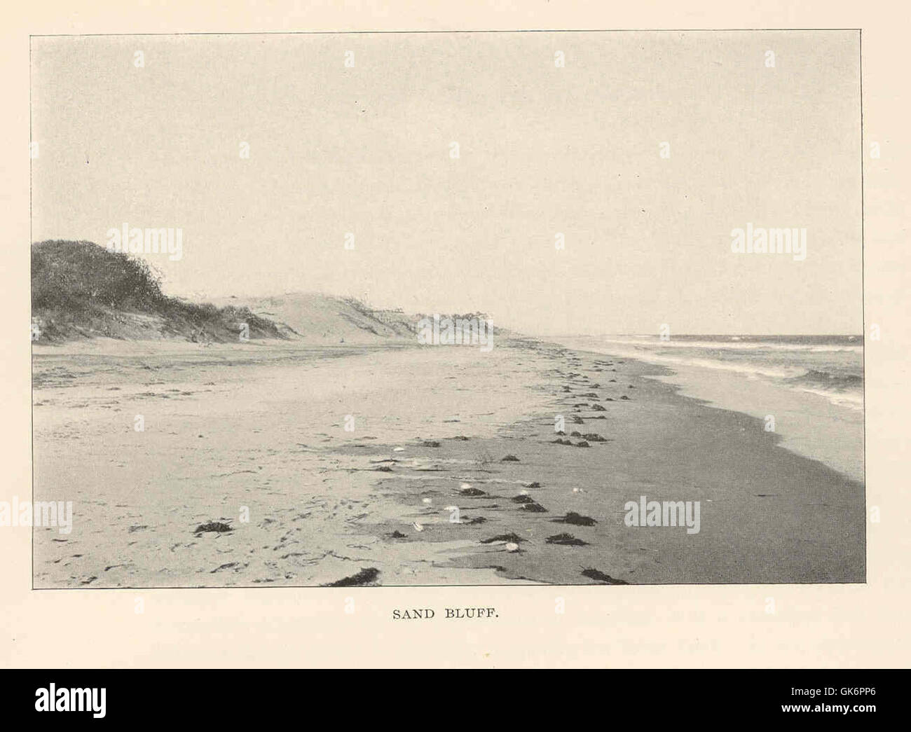 Sand Bluff is a prominent geological feature characterized by its steep ...