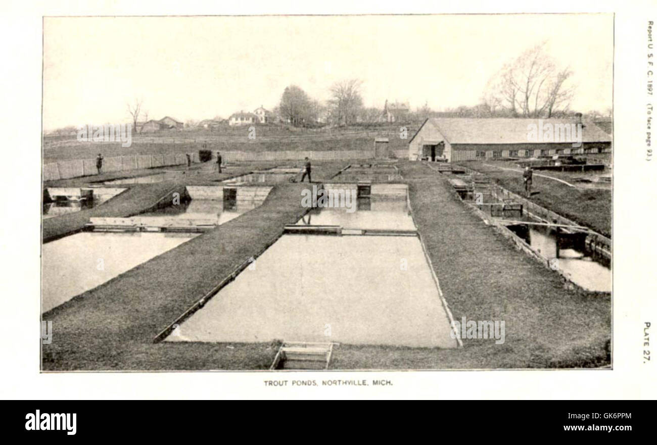 Aquaculture natural fish ponds hi-res stock photography and images - Alamy