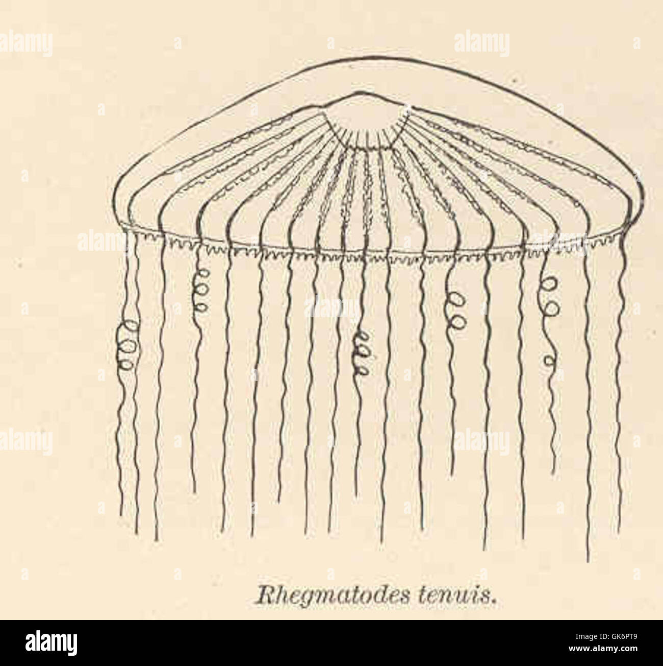 41686 hi-res stock photography and images - Alamy