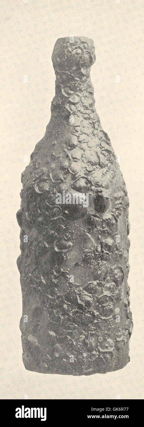 Shellfish attached to a glass bottle hi-res stock photography and ...