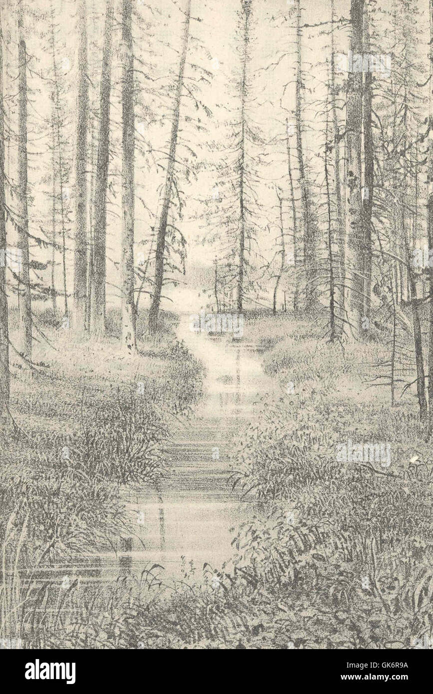 This image shows the Beaver Canal after Morgan, a significant point of ...