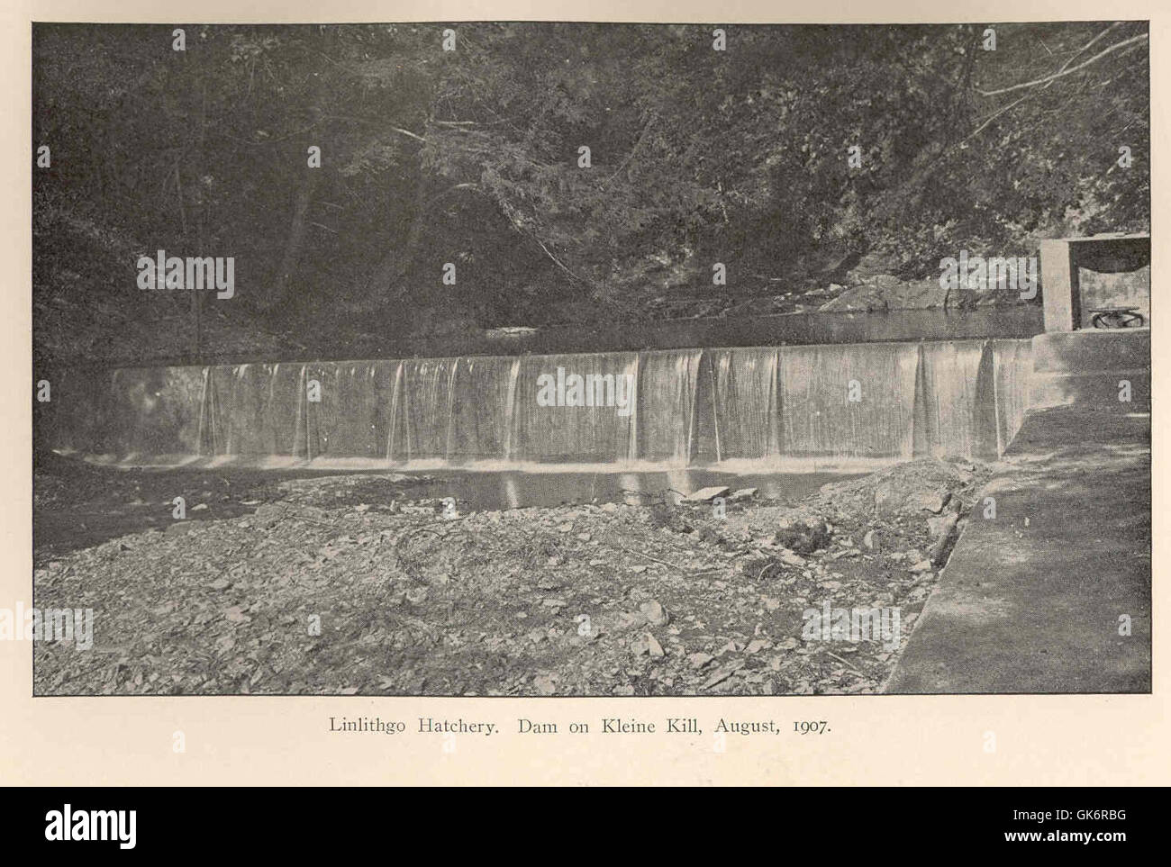 This historical image shows the Linlithgo Hatchery Dam on Kleine Kill ...