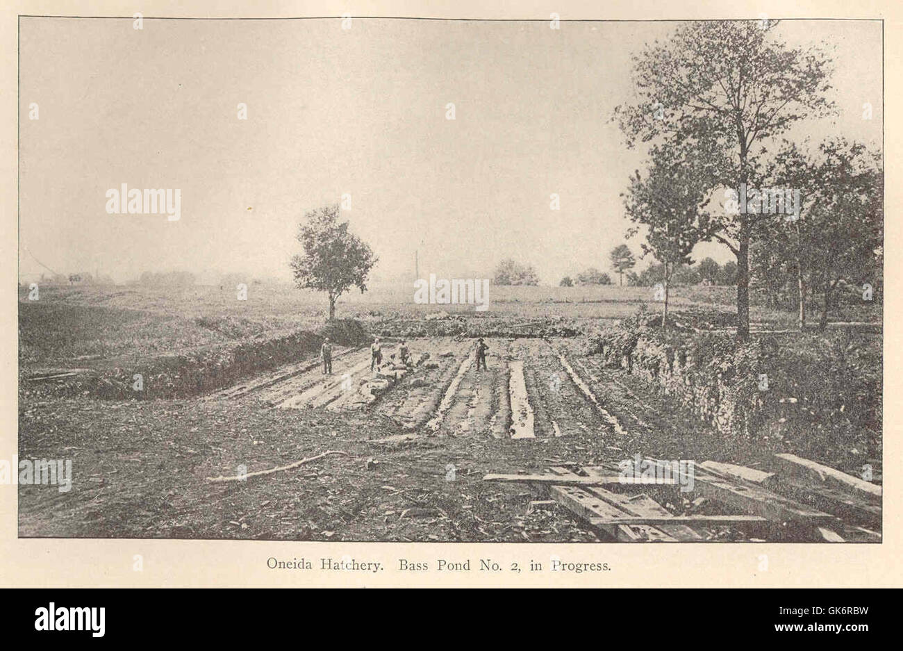 Oneida Hatchery Bass Pond No 2 is shown in development. This pond is ...