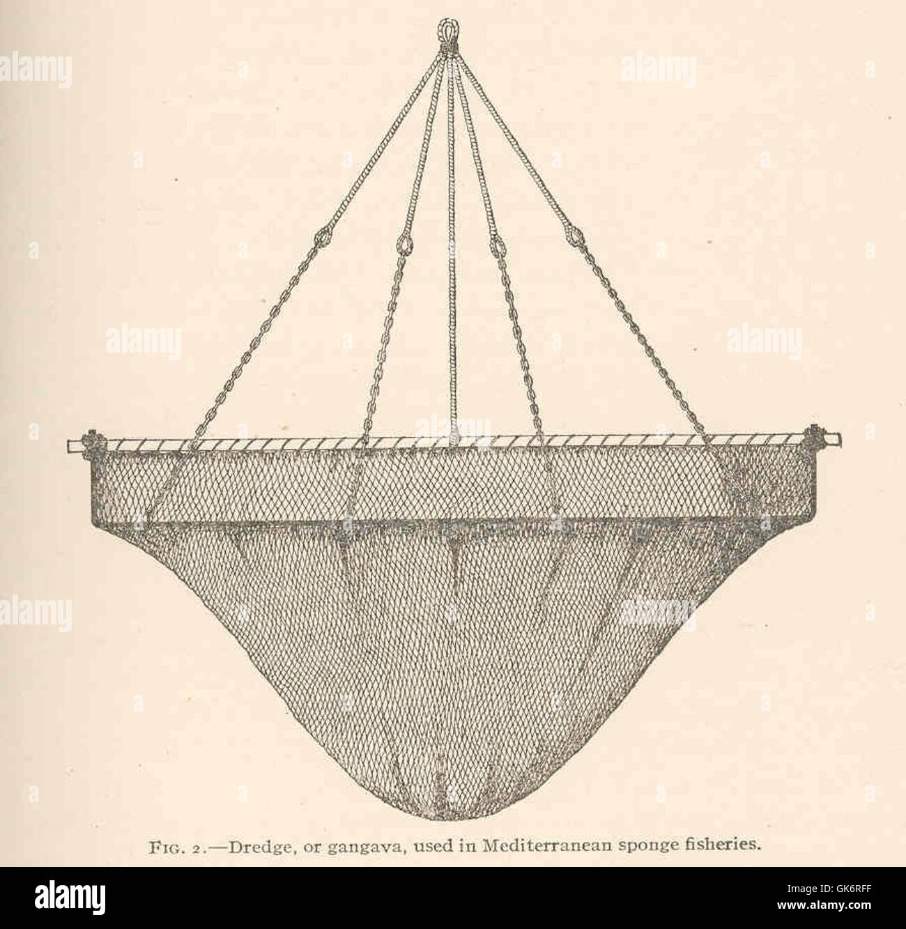 A dredge, also known as a gangava, used in the Mediterranean sponge ...