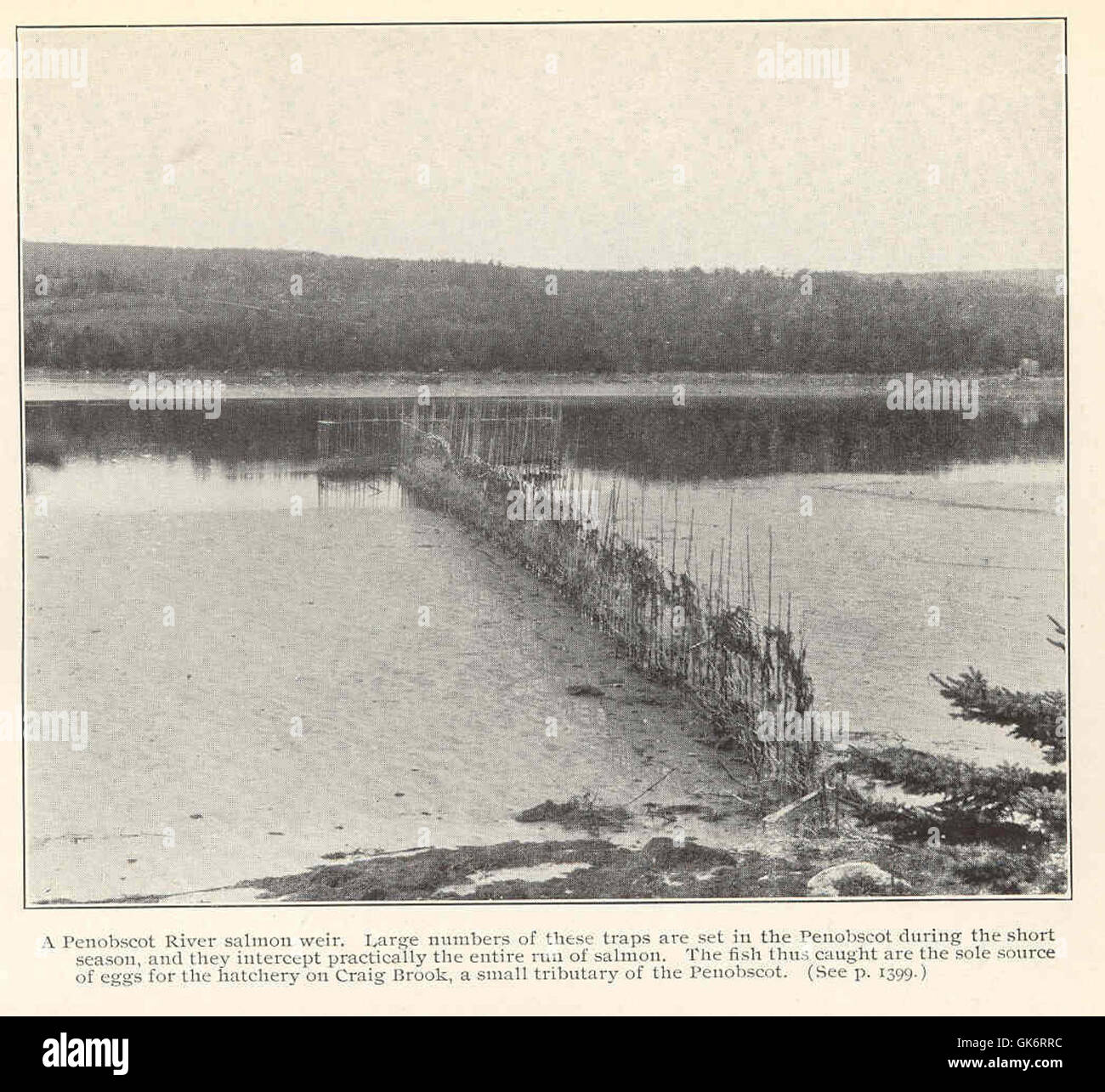 Fishing weir native hi-res stock photography and images - Alamy