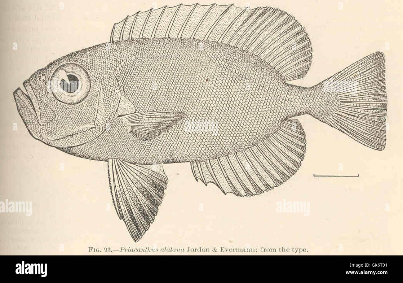 This illustration from an ancient manuscript shows the species ...