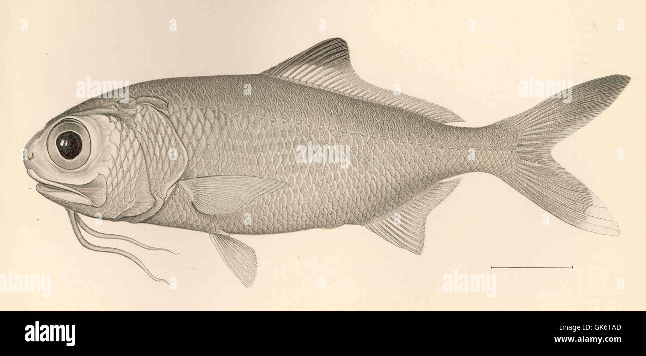 Vintage book documents scientific hi-res stock photography and images ...