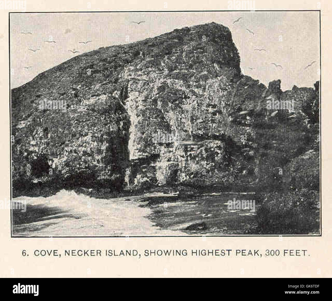 A vintage map illustration of 42770 Cove on Necker Island, showing the ...