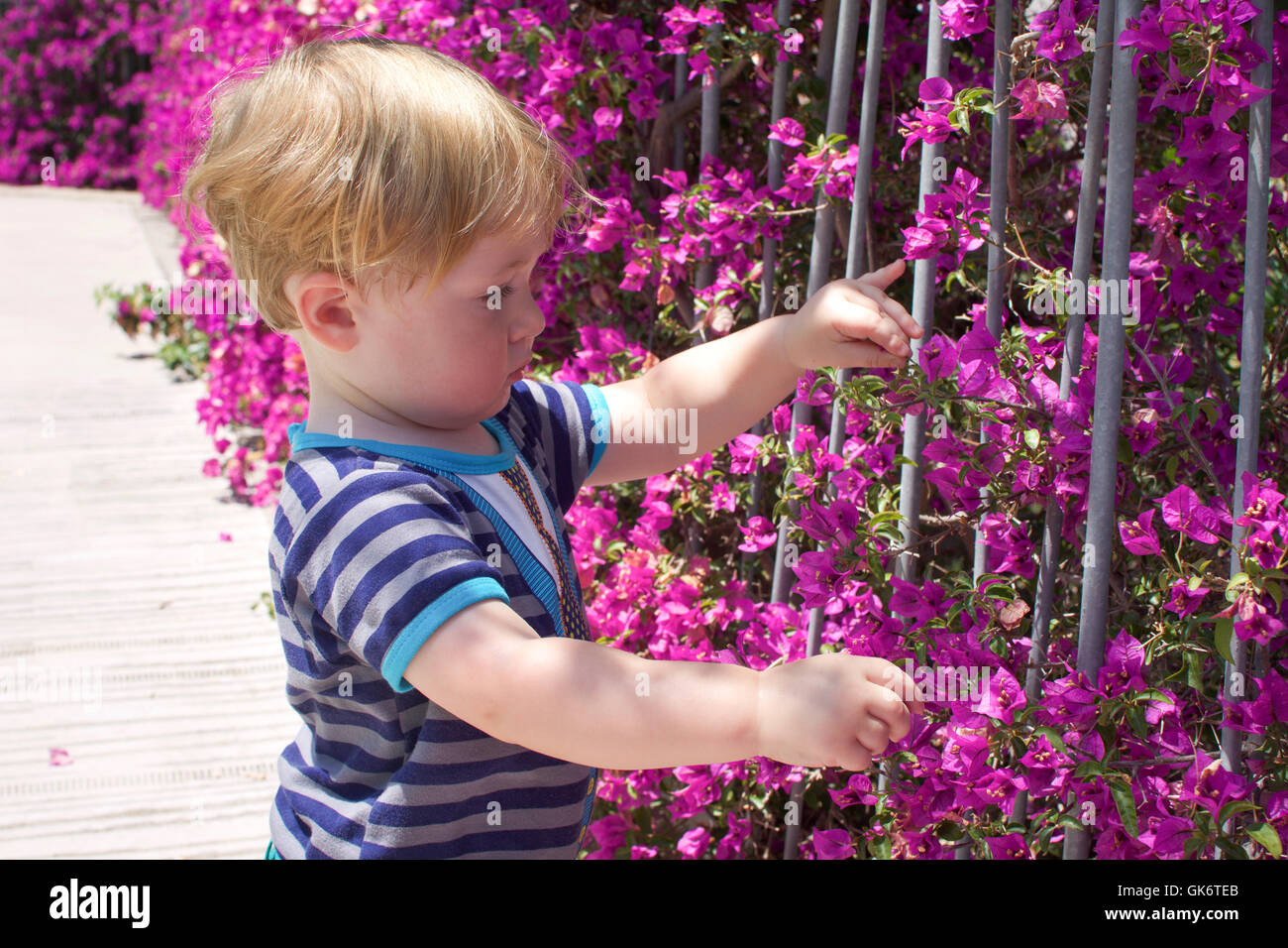 Boy picking flowers hi-res stock photography and images - Alamy
