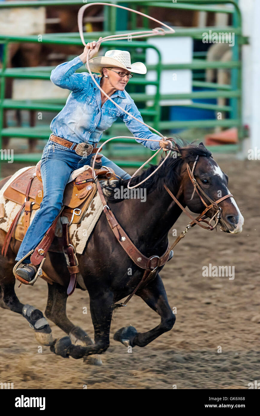 Rodeo cowgirl on horseback competing in calf roping, or tie-down roping ...
