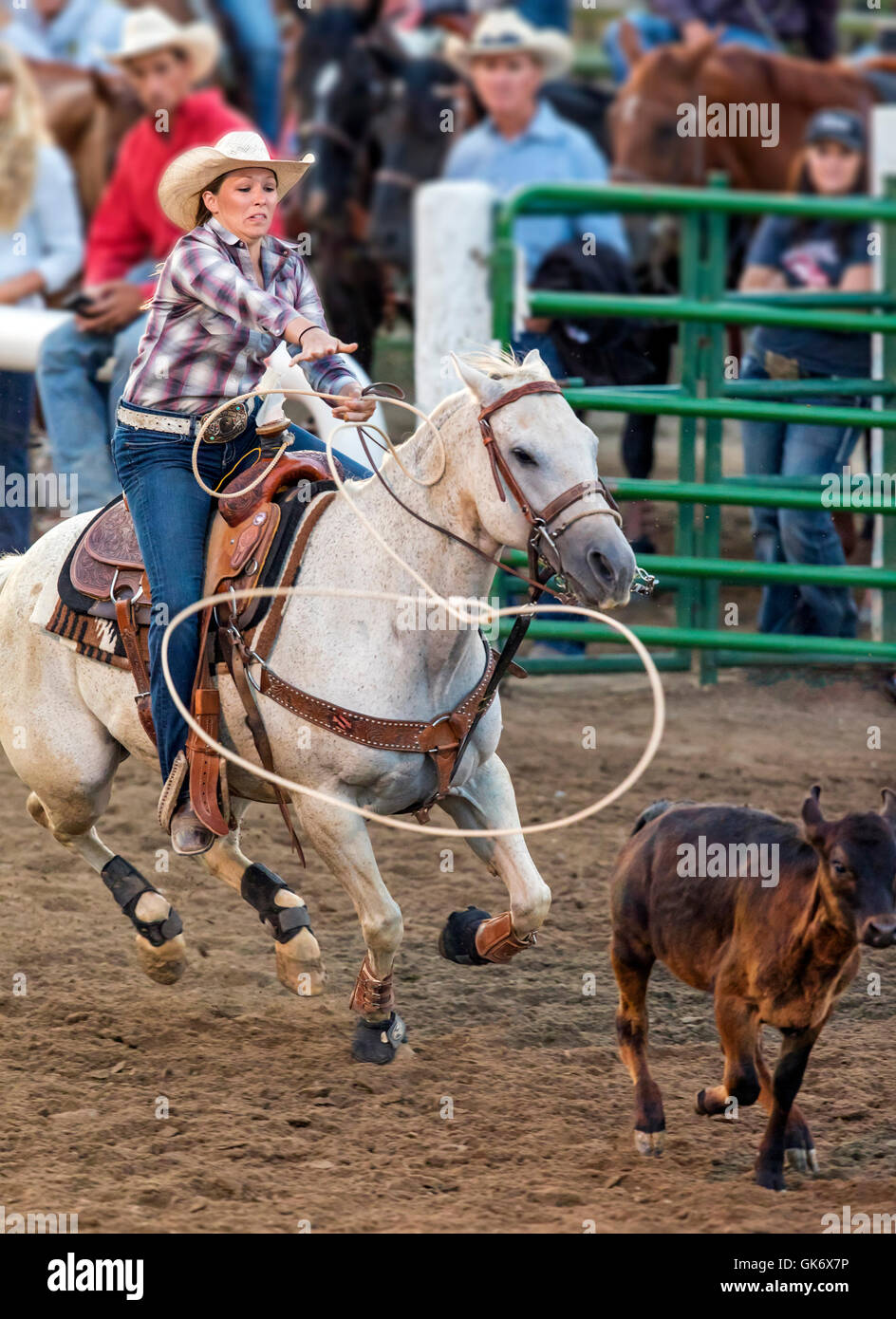 Cowgirl Horse Ranch Lasso High Resolution Stock Photography and Images ...