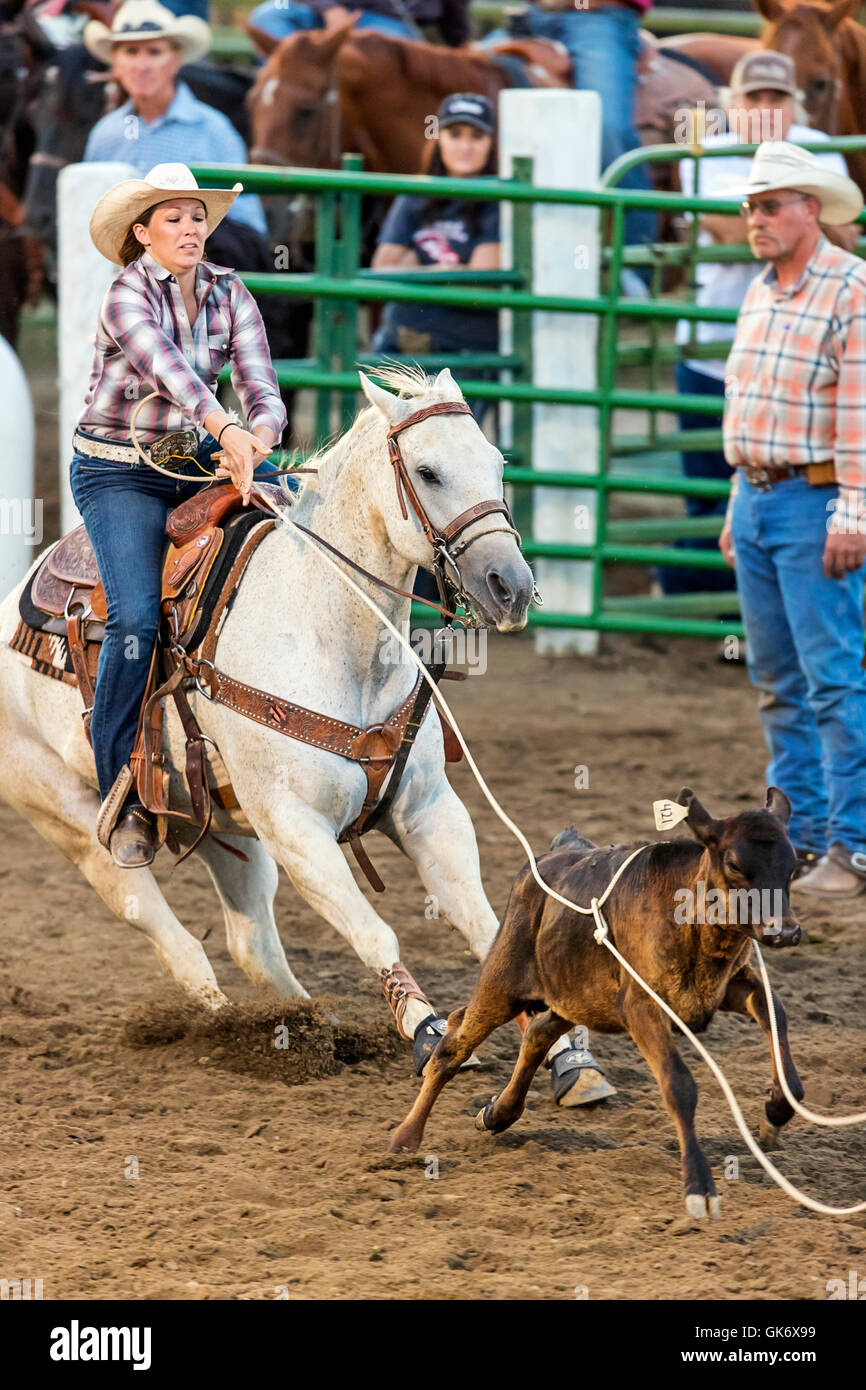 Rodeo cowgirl on horseback competing in calf roping, or tie-down roping ...